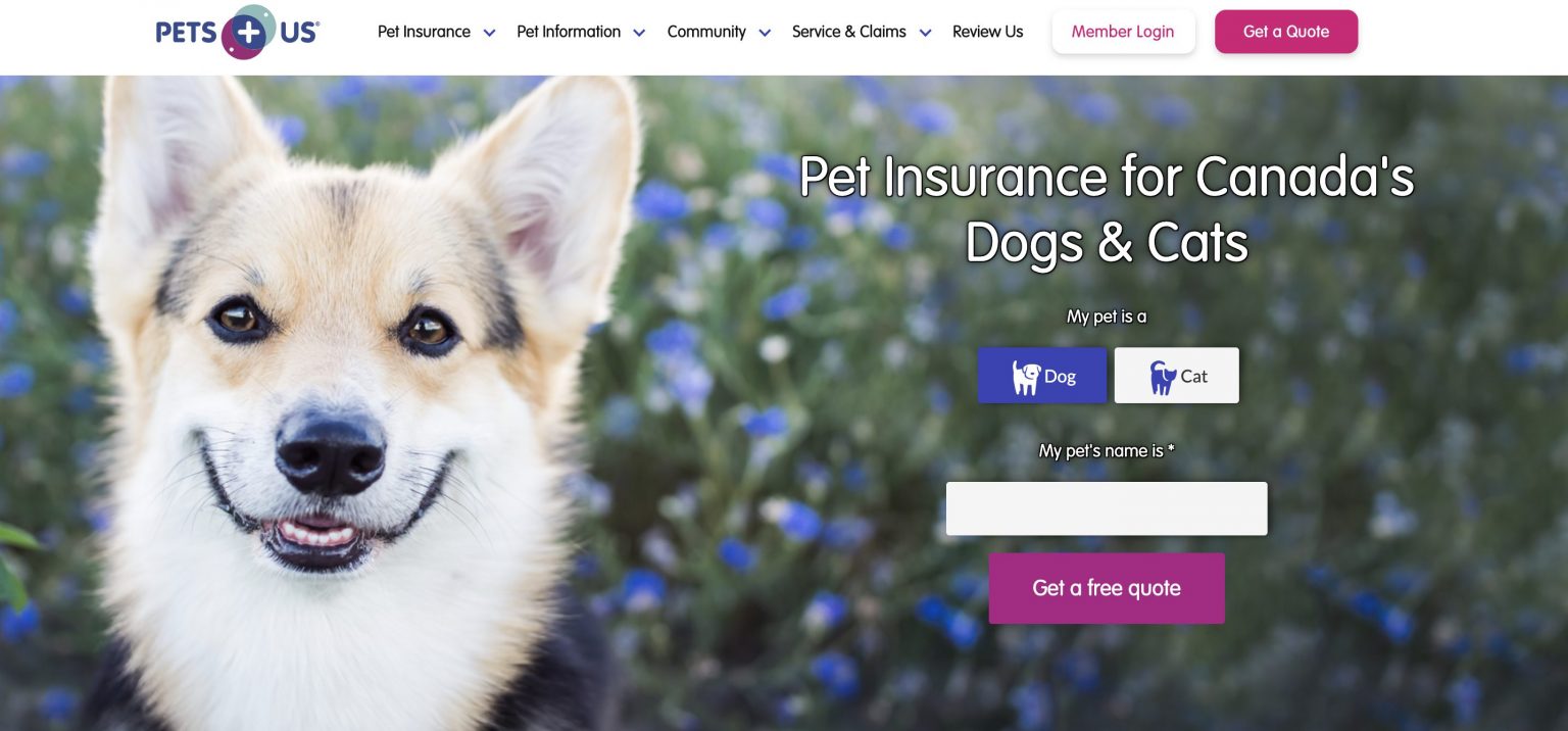 Pets Plus Us partners with Merck's HomeAgain