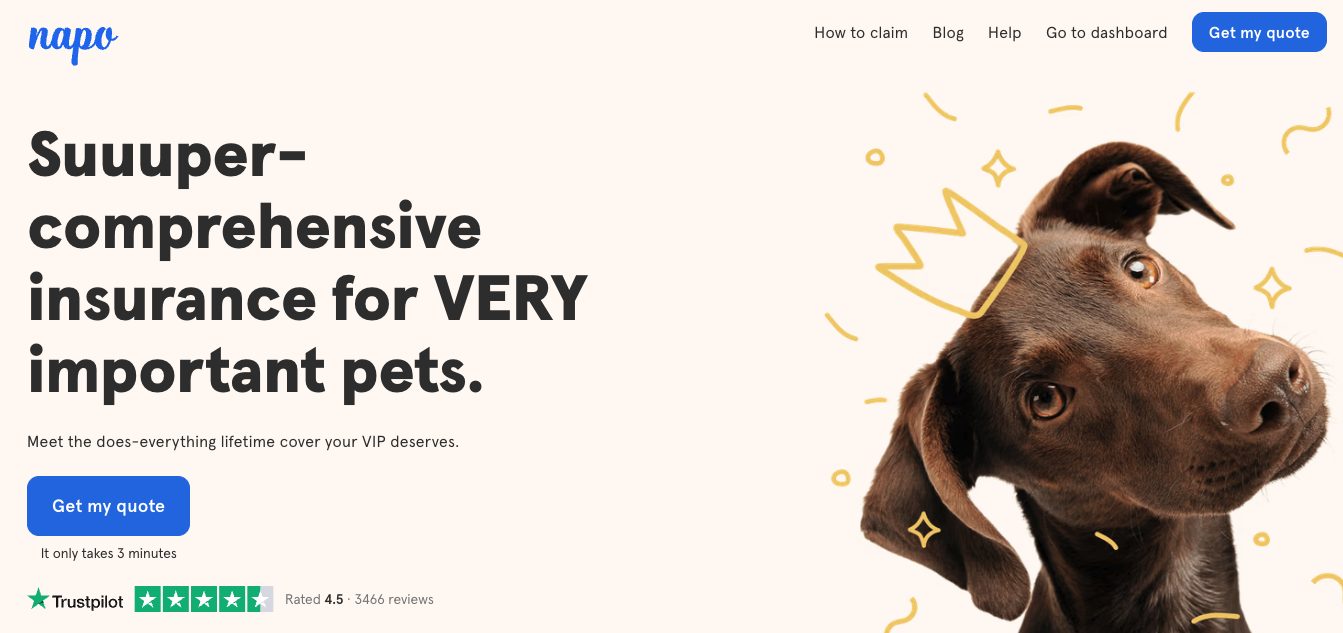 Napo raises £12 million